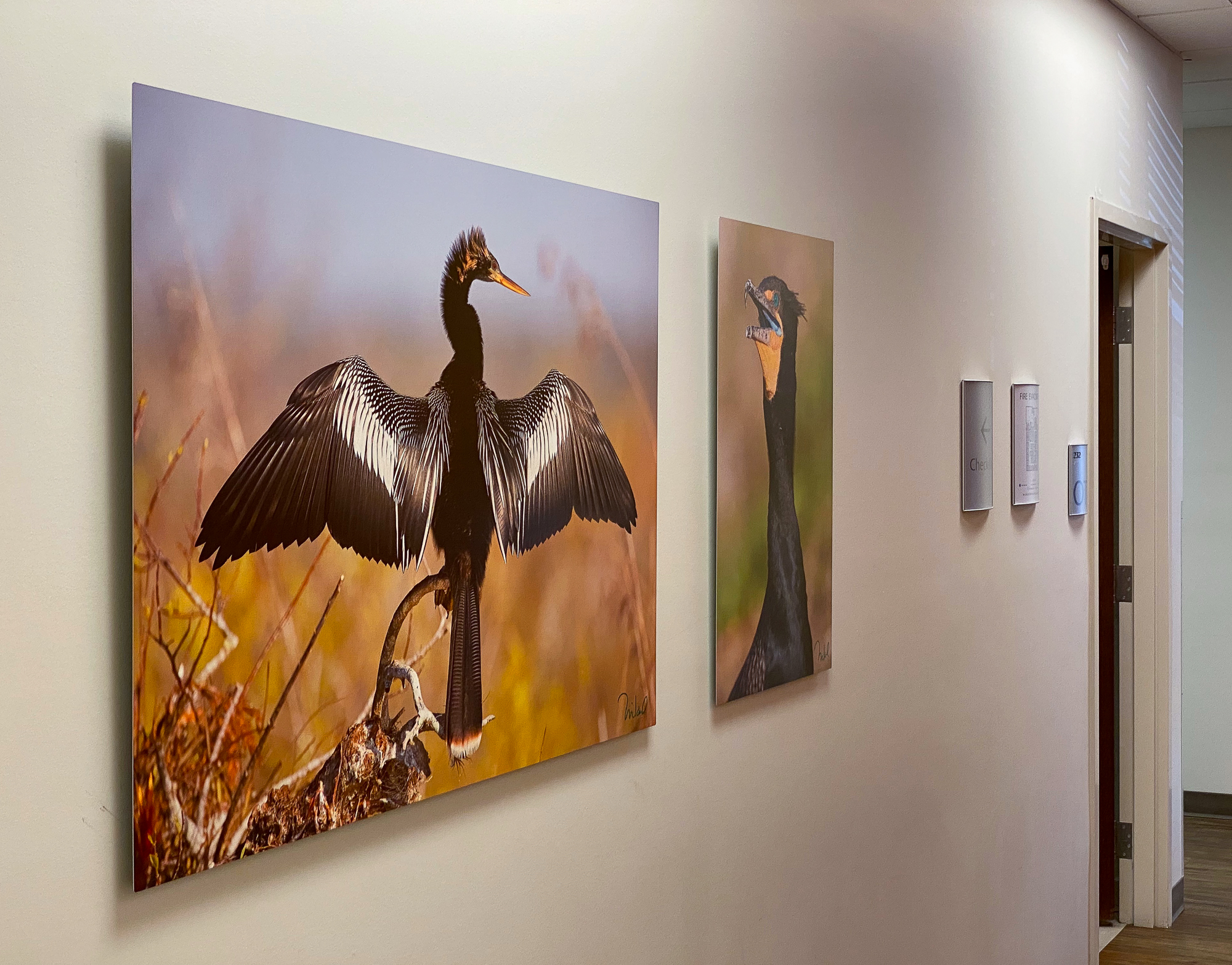 About the Prints of Dr. Edward J Mikol | Edward Mikol Photography